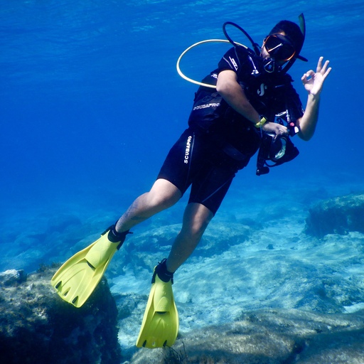 zacspawn | Paint Pad