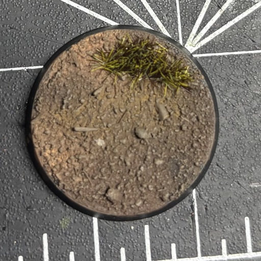 Bases: Dirt Path by squigelodeon | Paint Pad